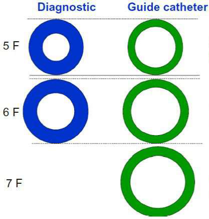 Basics - Catheters - Cardiology Apps